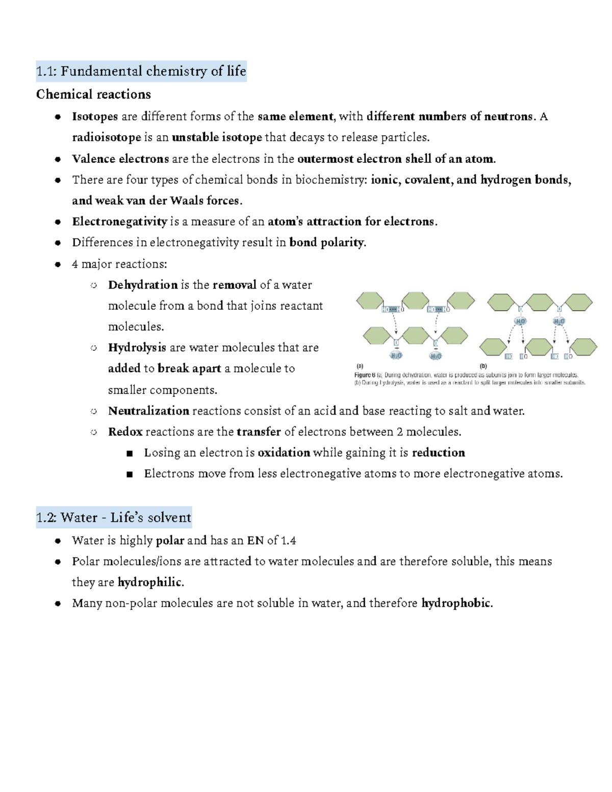 Unit 1 Biochemistry - Unit 1 of Ontario Biology 12 curriculum notes - 1 ...