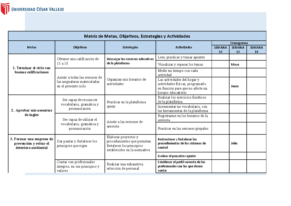 1° Producto N° 12 - practica - Matriz de Metas, Objetivos, Estrategias ...