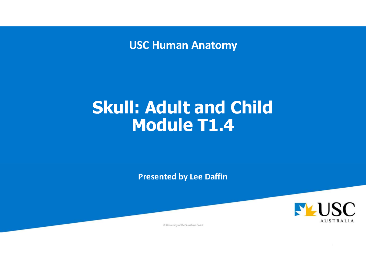 Week 5 - Week 5 - Skull: Adult and Child Module T1. USC Human Anatomy ...