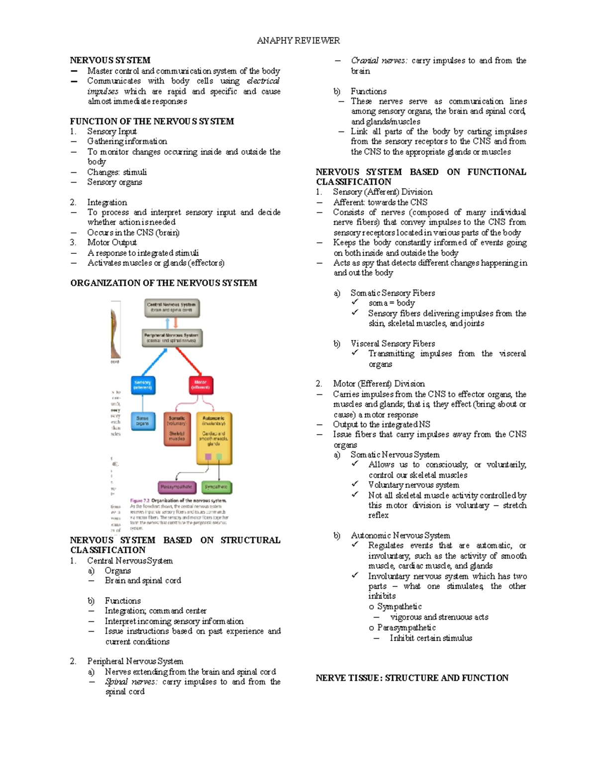 Anatomy and Physiology nervous system - ANAPHY REVIEWER NERVOUS SYSTEM ...