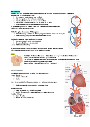 Fysiologie bloedvaten - Uit welke verschillende onderdelen bestaat het hart? Het hart bestaat ...