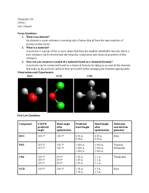 Laboratory 1 Report: What is Around Us? - CHEM 106 - Hunter College ...