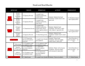 Ch 2 - fuel for exercise - bioenergetics and muscle metabolism ...
