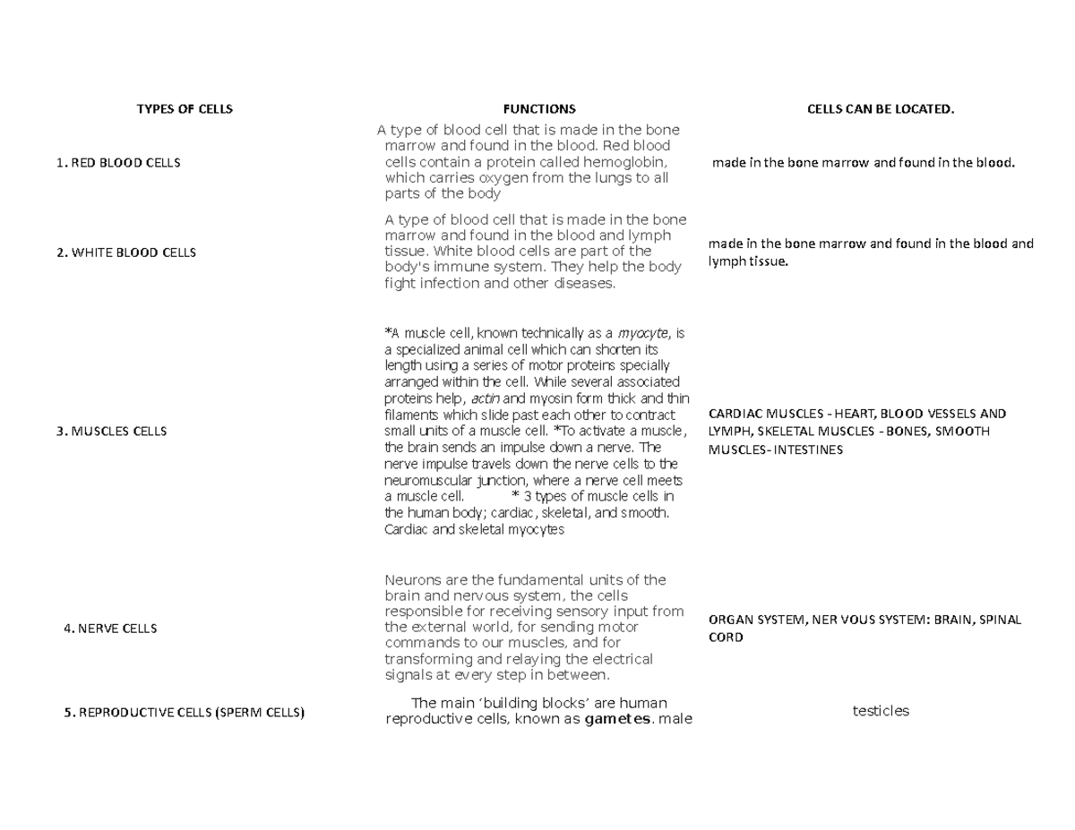 Types OF Cells - TYPES OF CELLS FUNCTIONS CELLS CAN BE LOCATED. 1. RED ...