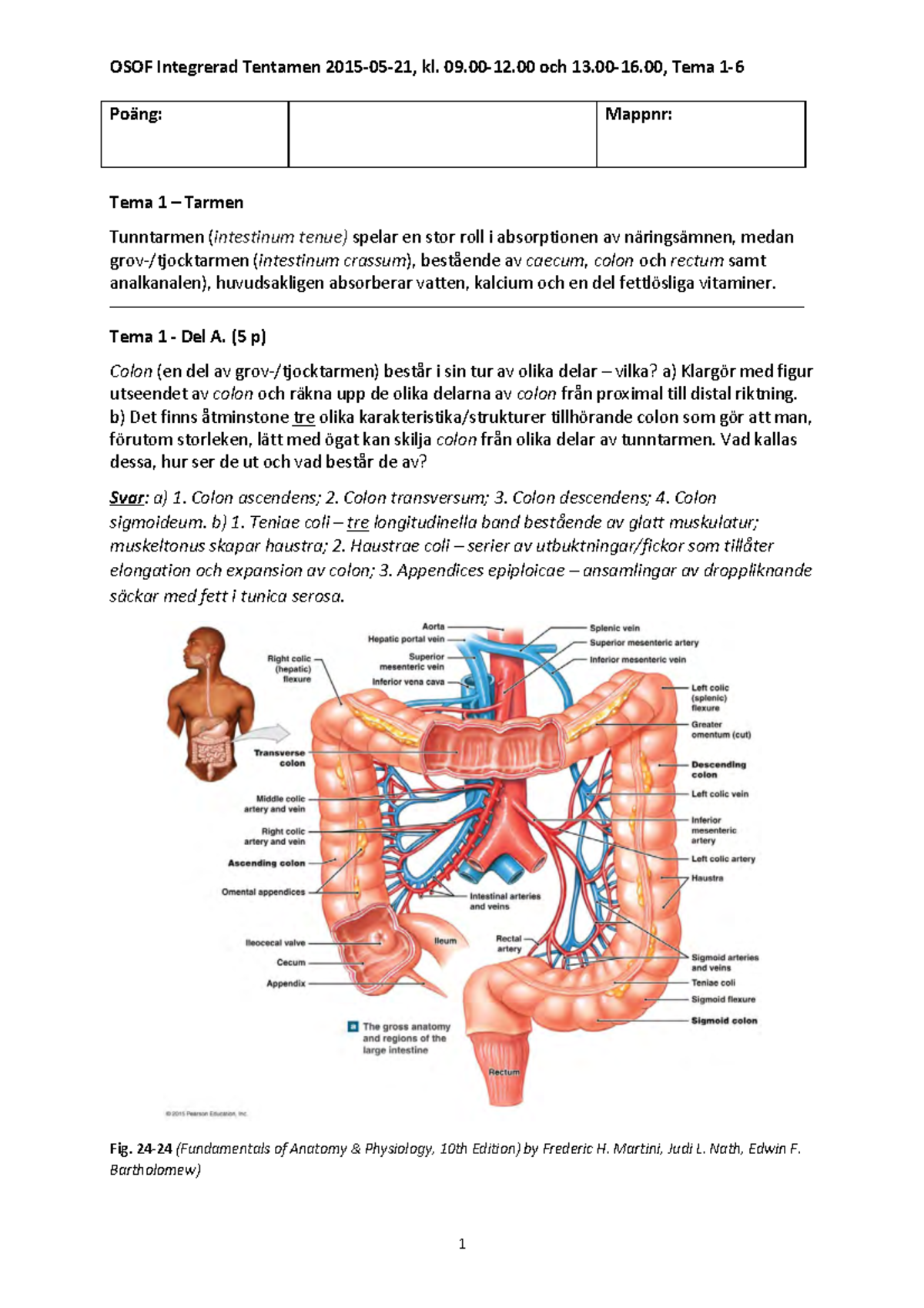 gamla tentor -osof - Poäng: Mappnr: Tema 1 – Tarmen Tunntarmen ...