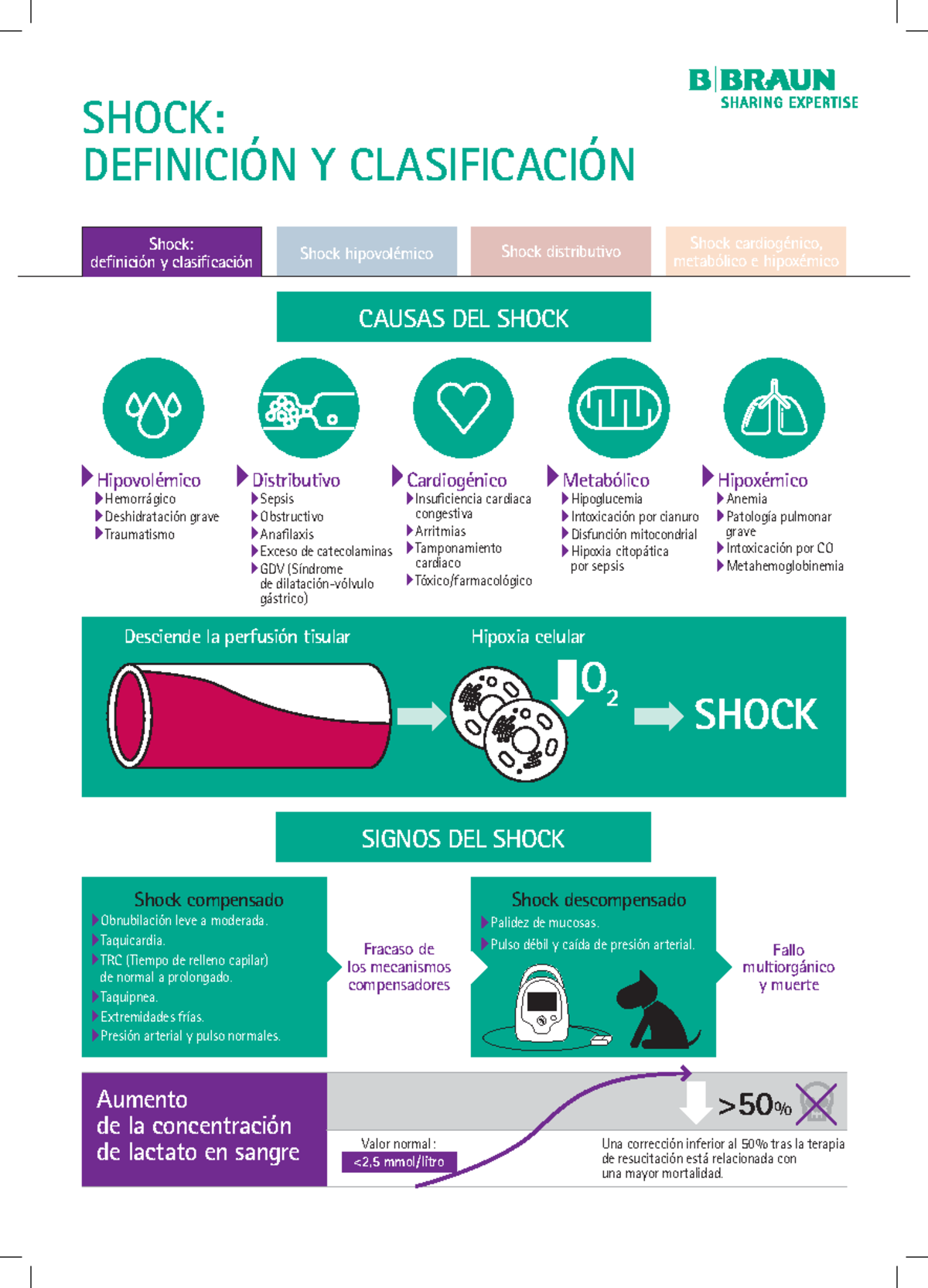Infografia-shock - Distributivo Sepsis Obstructivo Anafilaxis Exceso de ...