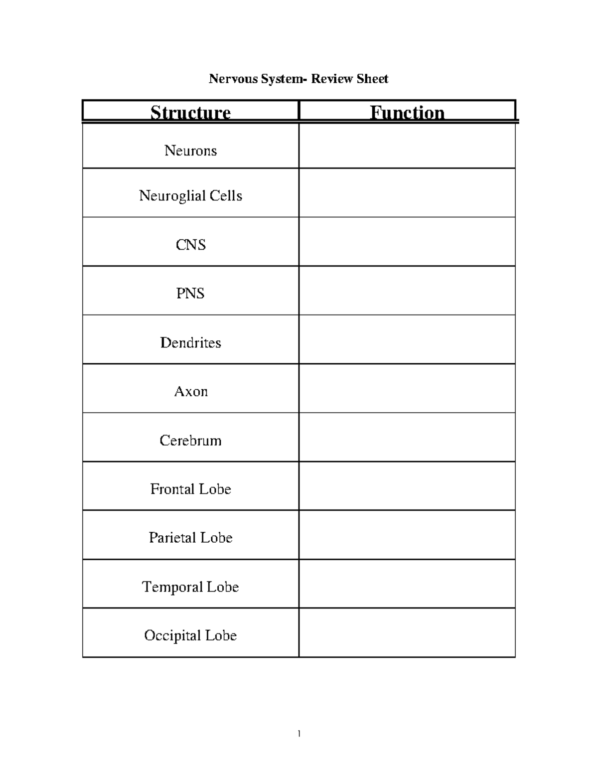 Nervous system review anat physio-2 - 1 Nervous System- Review Sheet ...