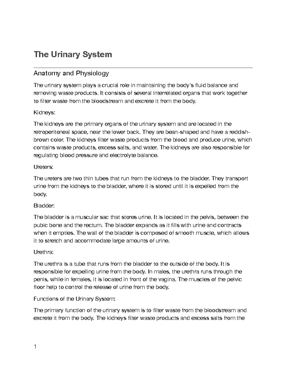 The Urinary System Notes - The Urinary System Anatomy and Physiology ...