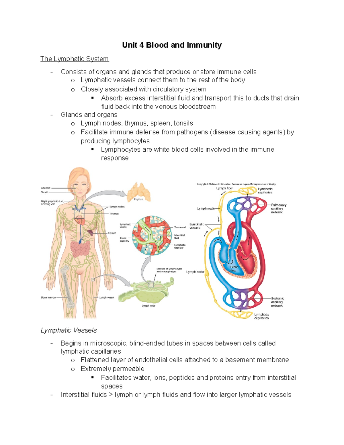 Unit 4 Blood and Immunity - Unit 4 Blood and Immunity The Lymphatic ...