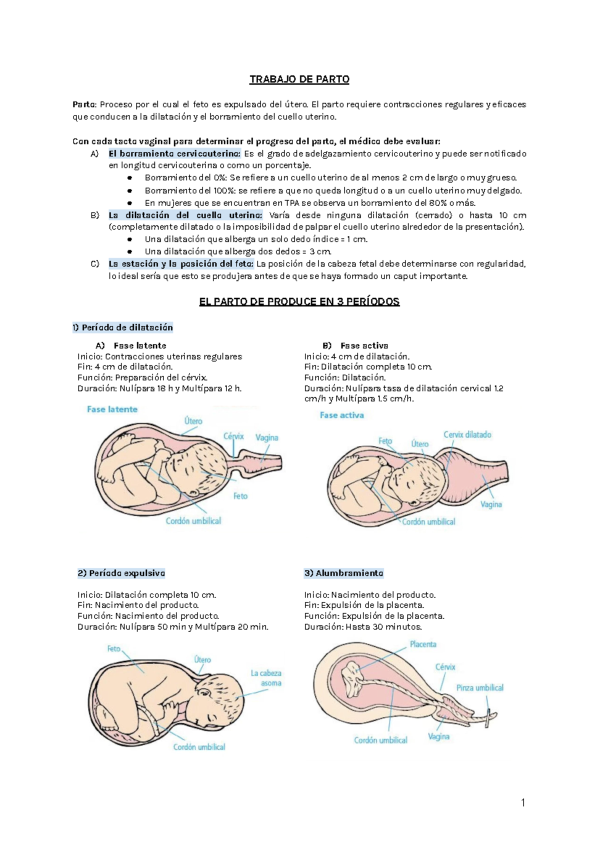 Fases DEL Trabajo DE Parto - TRABAJO DE PARTO Parto: Proceso por el ...