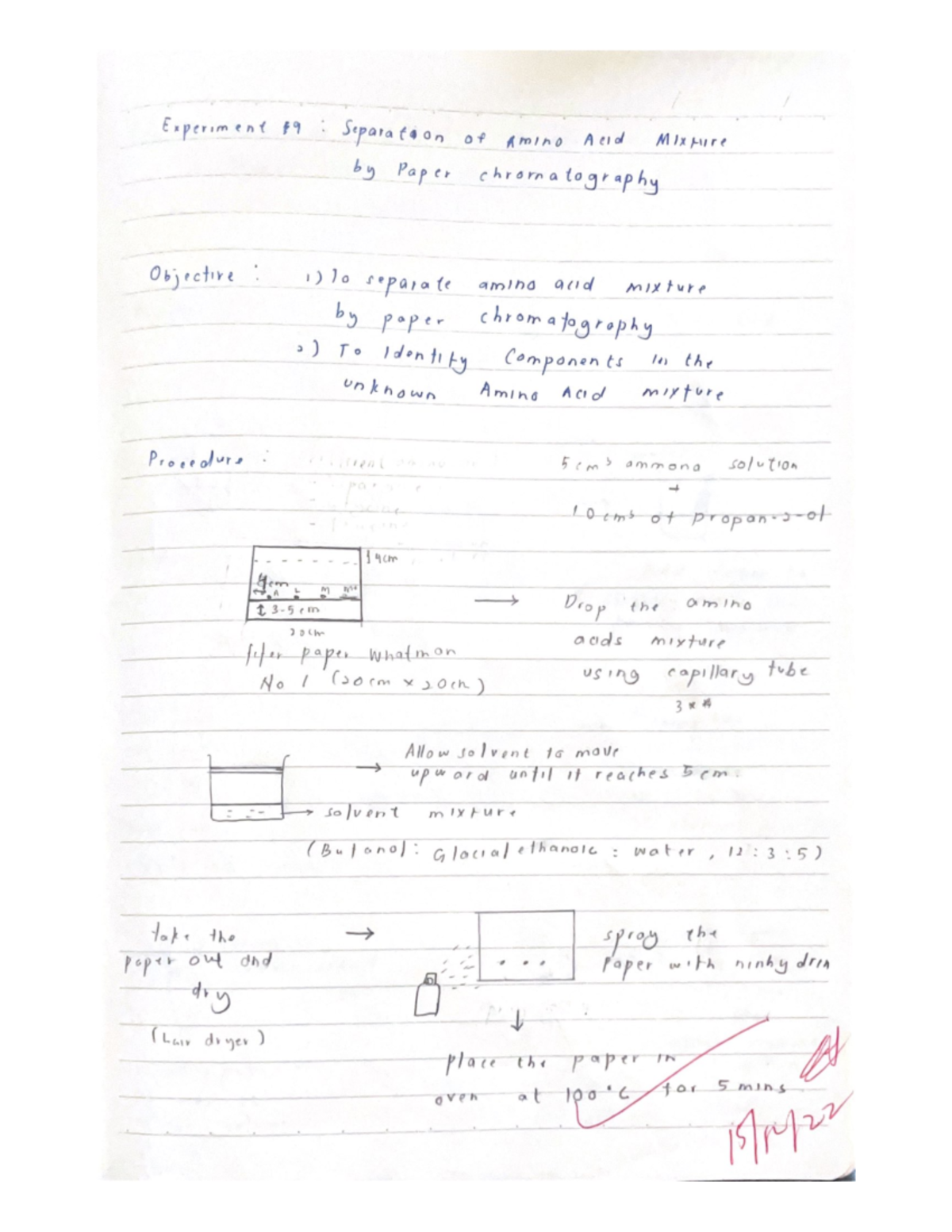 Jotter separation of amino acid mixture by paper chromatography ...