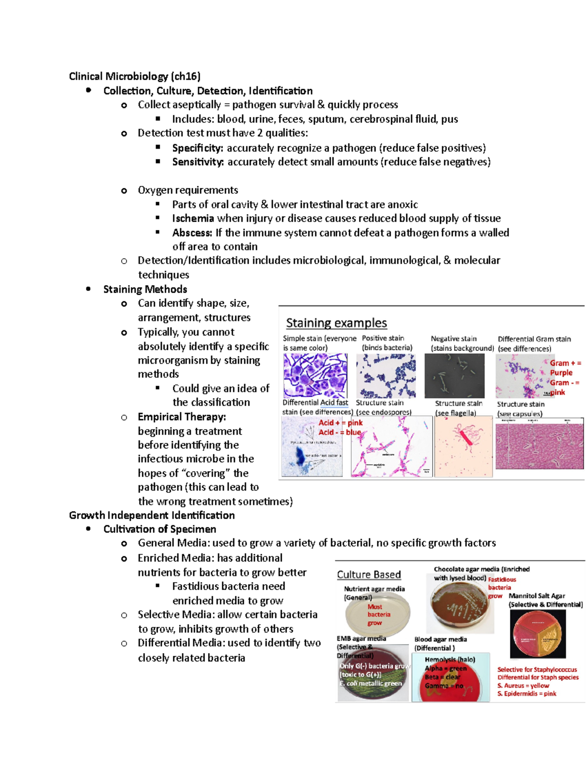 Micro-ch16 - ch16 - Clinical Microbiology (ch16) Collection, Culture ...