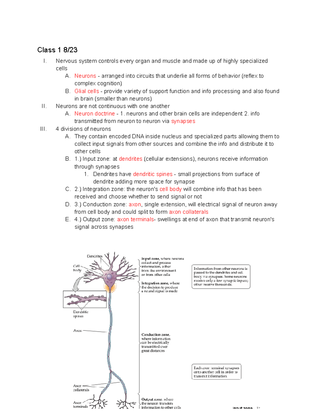 Neuroscience Textbook Notes - Class 1 I. II. Nervous system controls ...
