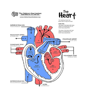 Respiratory ENT chart - diagram - NUR4500 - NUR 4500 PEDS Respiratory ...