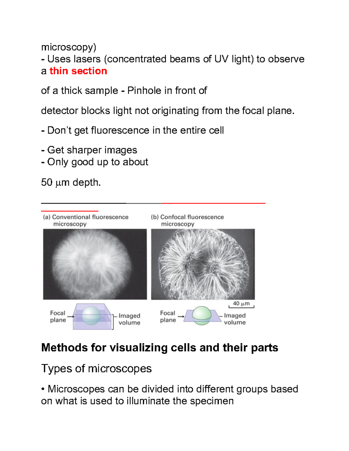 4Protein techniques Lecture Notes - microscopy) - Uses lasers ...