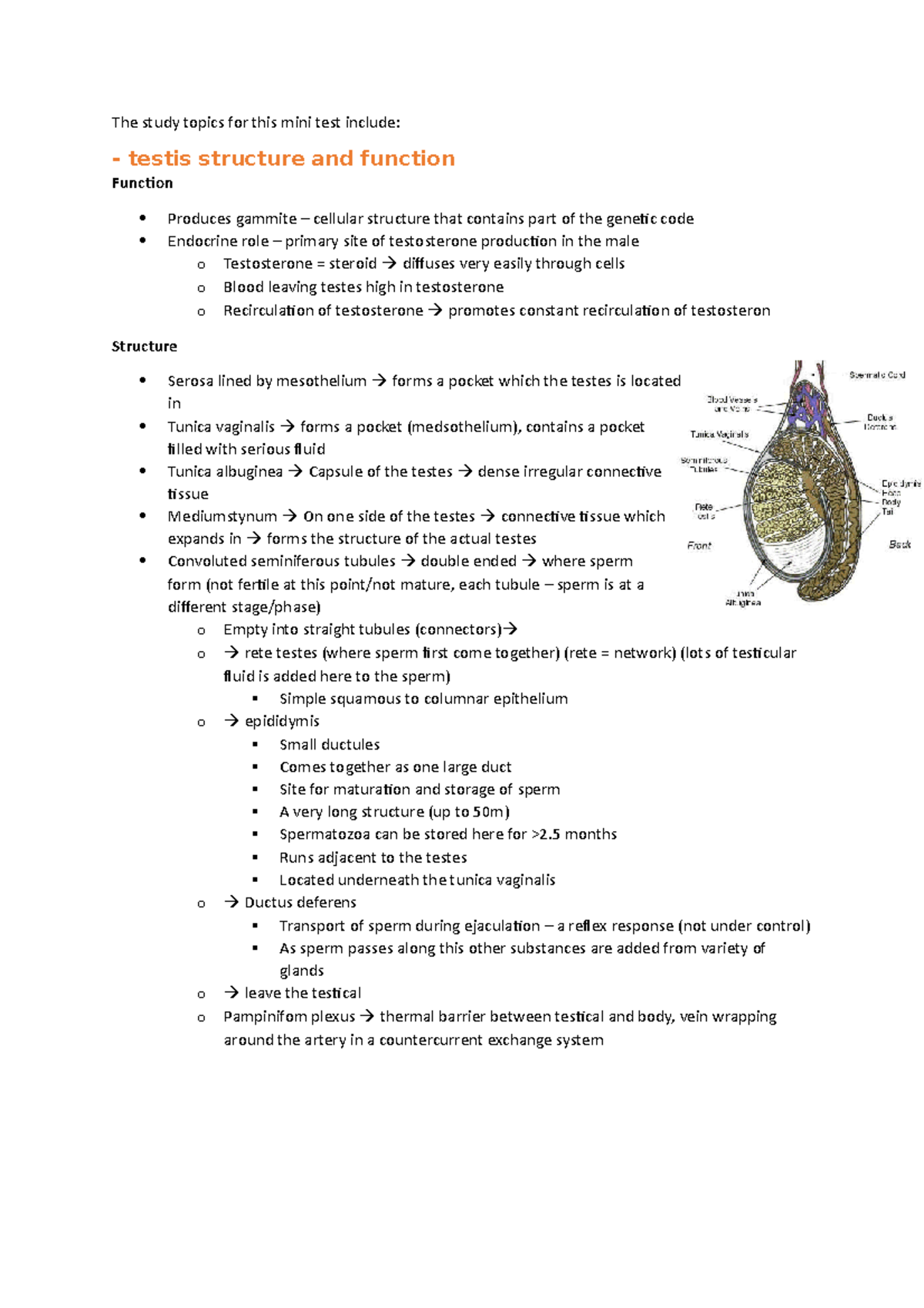 Mini test 10 - weekly quiz notes - The study topics for this mini test ...