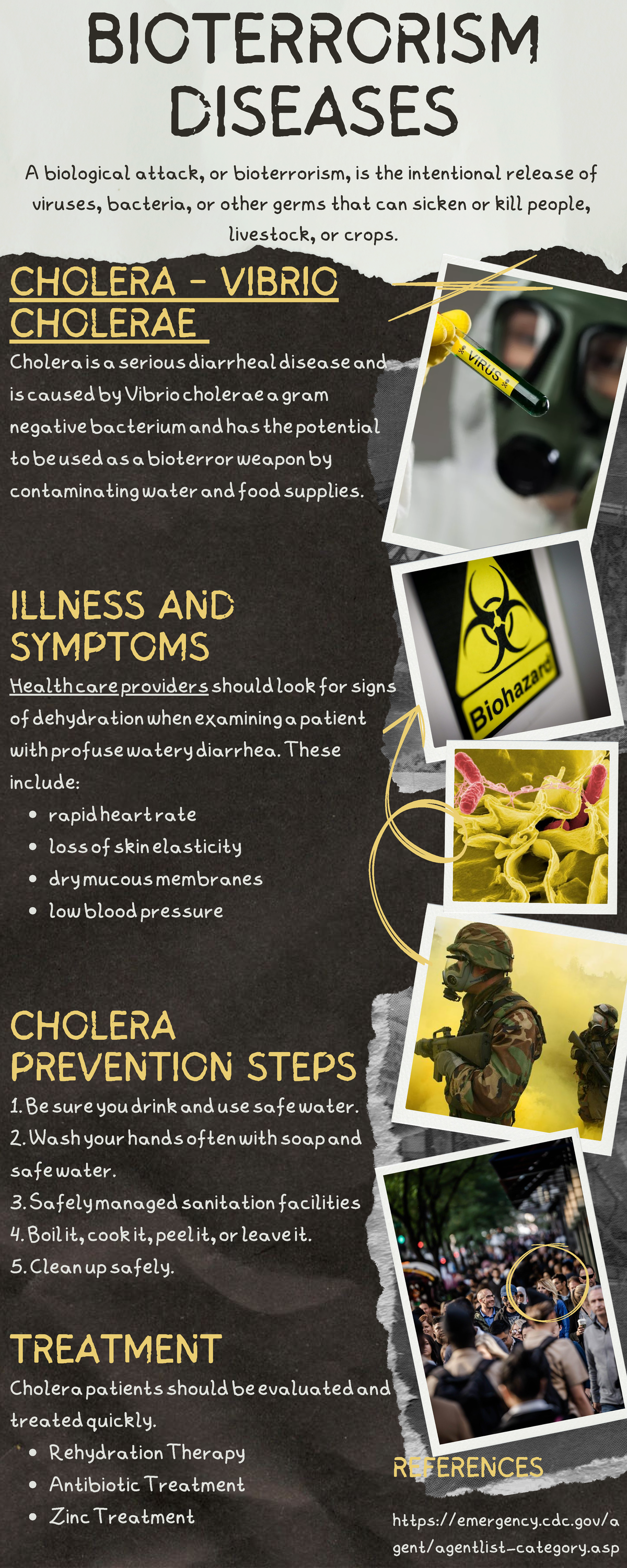 Bioterrorism-Diseases-Infographic - CHOLERA - VIBRIO CHOLERAE Cholera ...