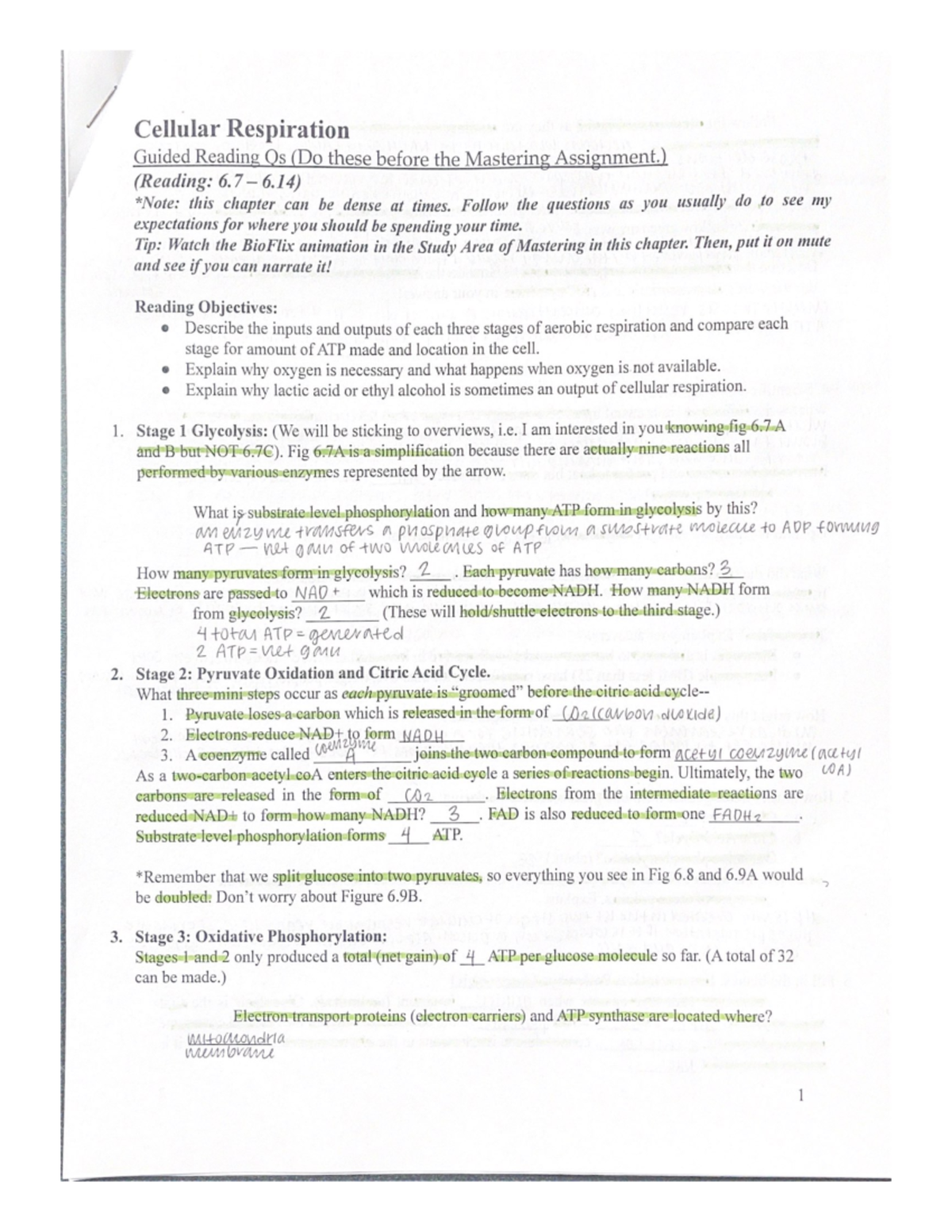 Cellular Respiration - ) (Reading: 6 6) this chapter, can be dense at ...