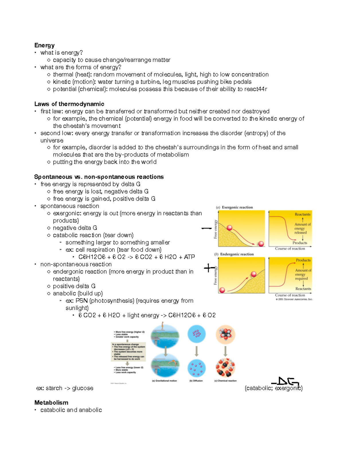 Ch 8 - introductory biology class, professor: Janel Zeman - Energy ...