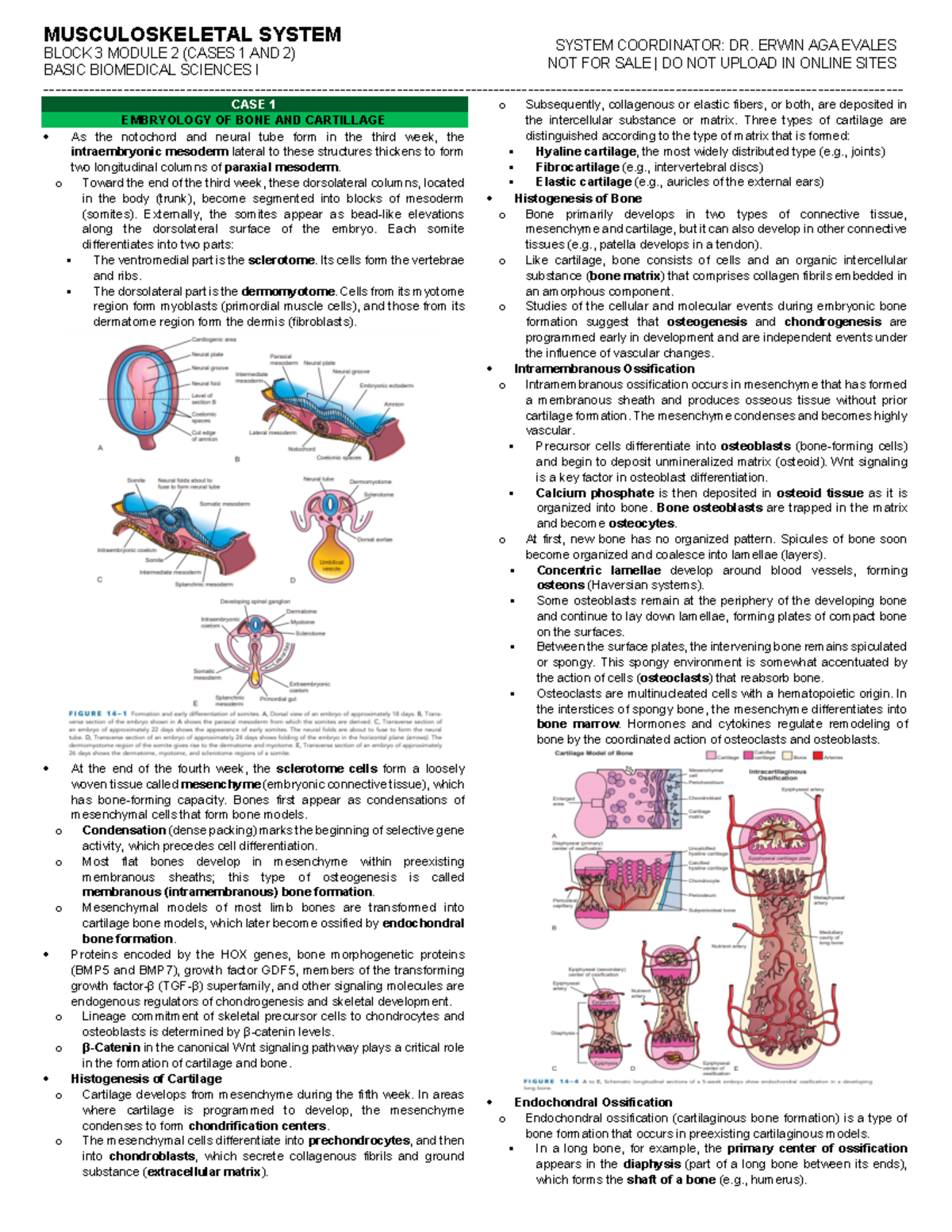Case 1-2 - Musculoskeletal - MUSCULOSKELETAL SYSTEM BLOCK 3 MODULE 2 ...