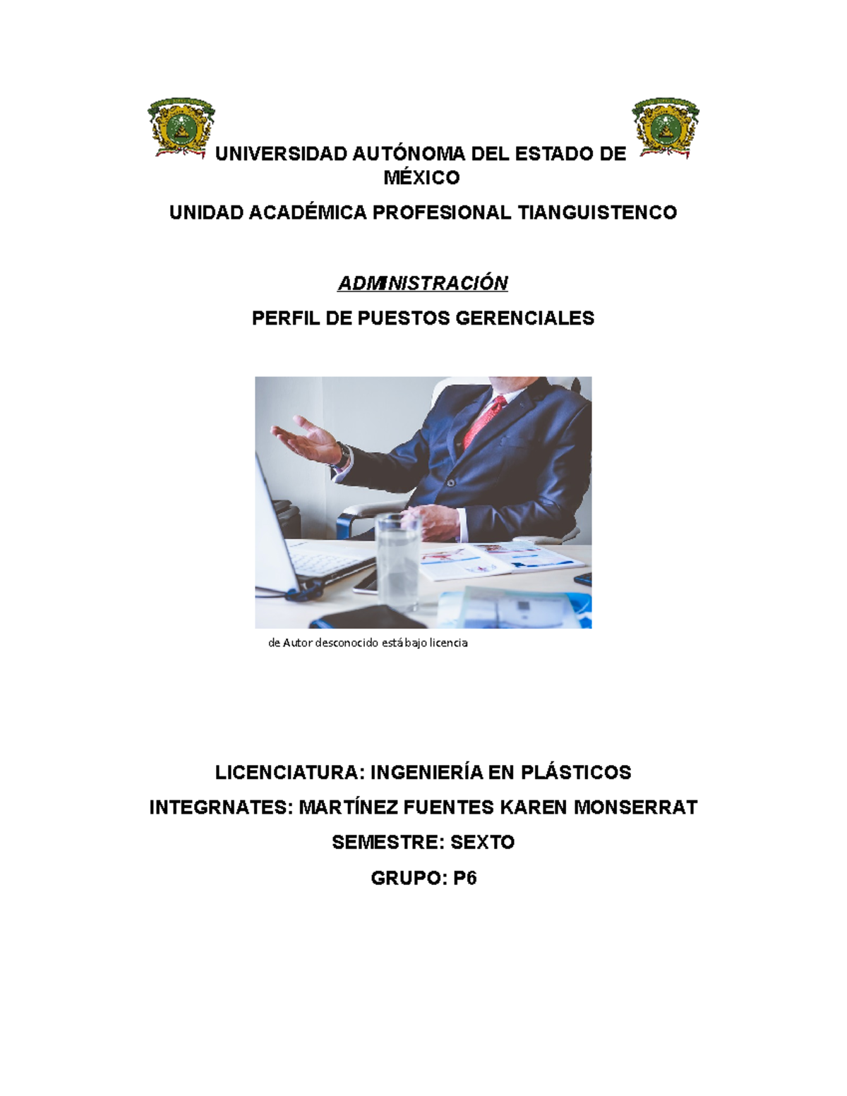 Perfiles gerenciales de una empresa de nivel institucional ...