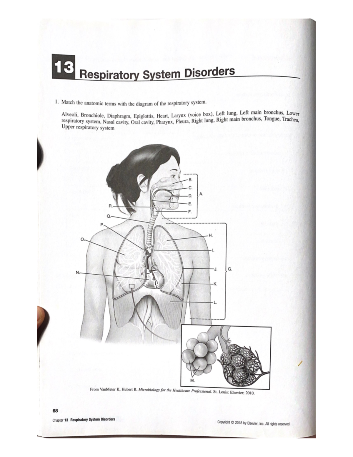 13 Respiratory System Disorders questions - NURS1420P - Studocu