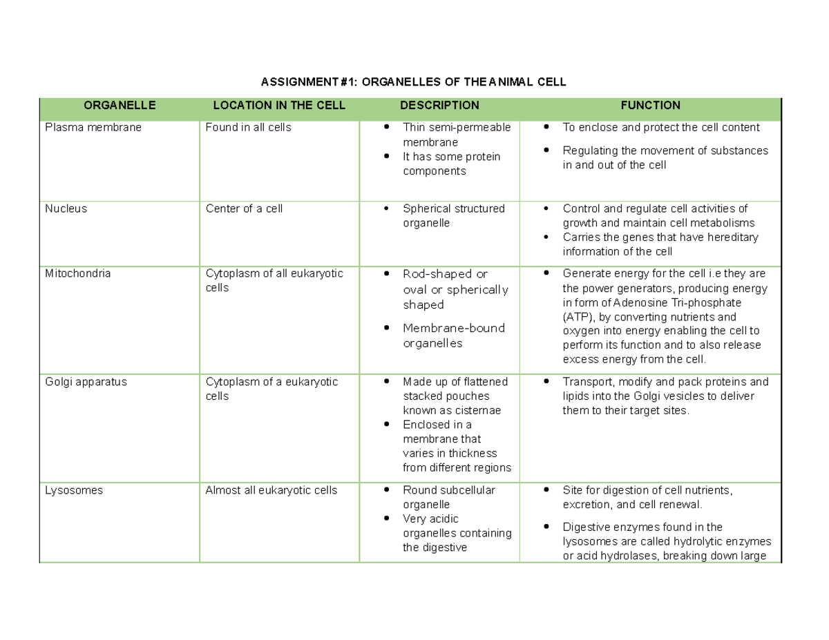 Zoology CELL Organelles Notes - ASSIGNMENT #1: ORGANELLES OF THE ANIMAL ...