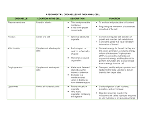 ZOD Assessment FORM - TOILET STRUCTURE: PRESENCE OF THE FF IN THE ...