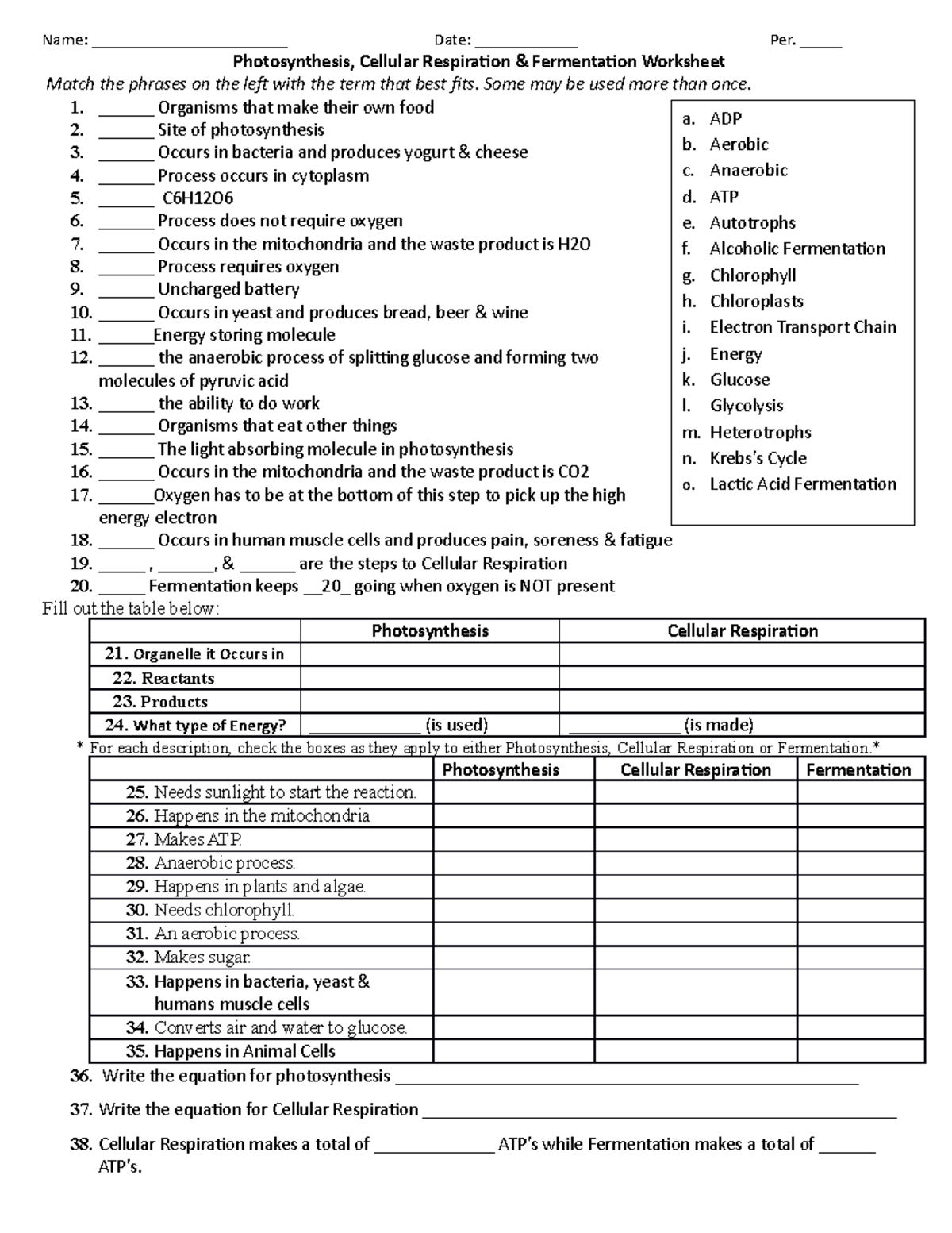 Photosynthesis Cellular Respiration And Fermentation Worksheet Name photosynthesis-cellular-respiration-and-fermentation-worksheet-name