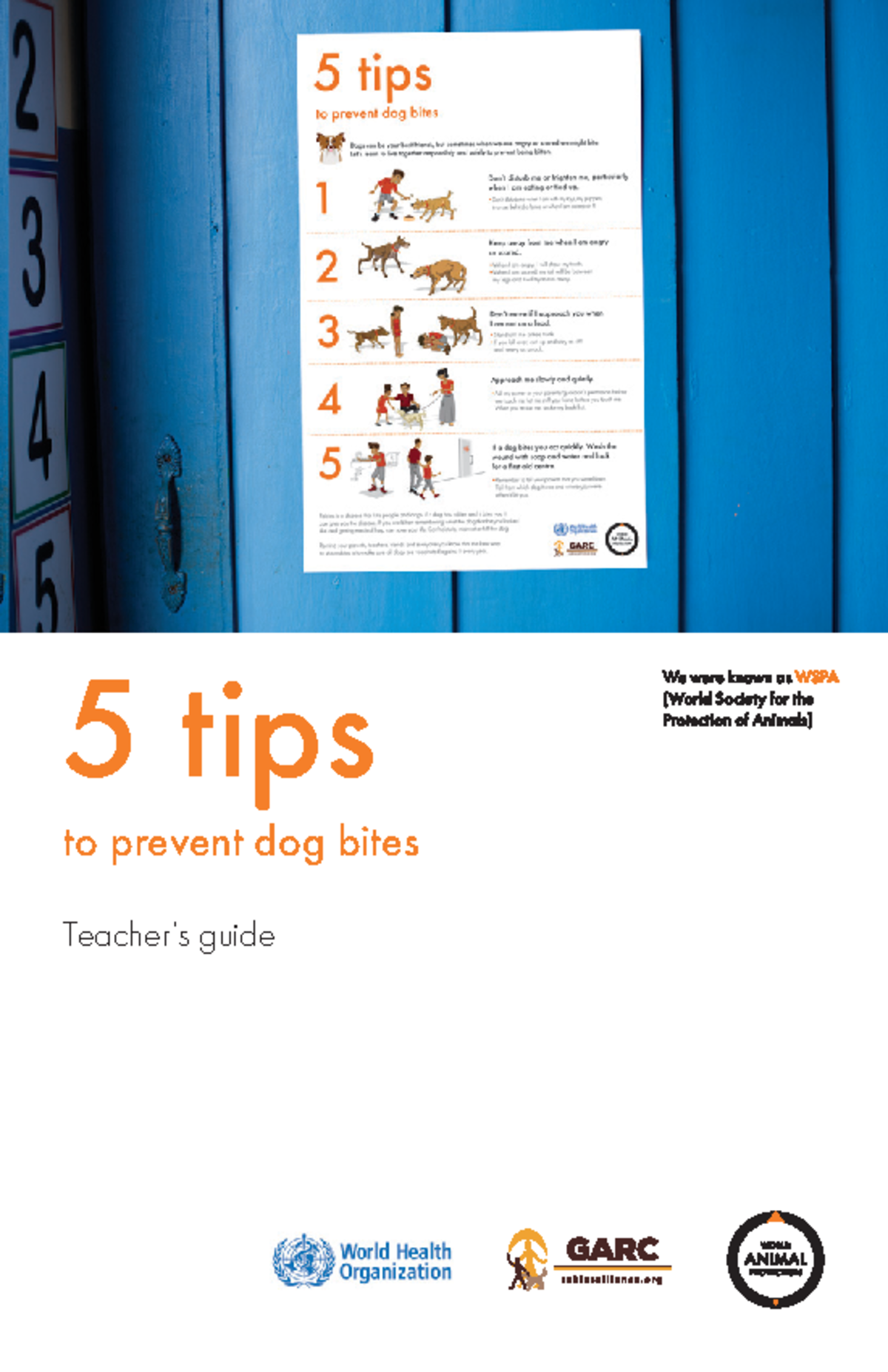 Five tips to prevent dog bites guide for teachers - 5 tips to prevent ...
