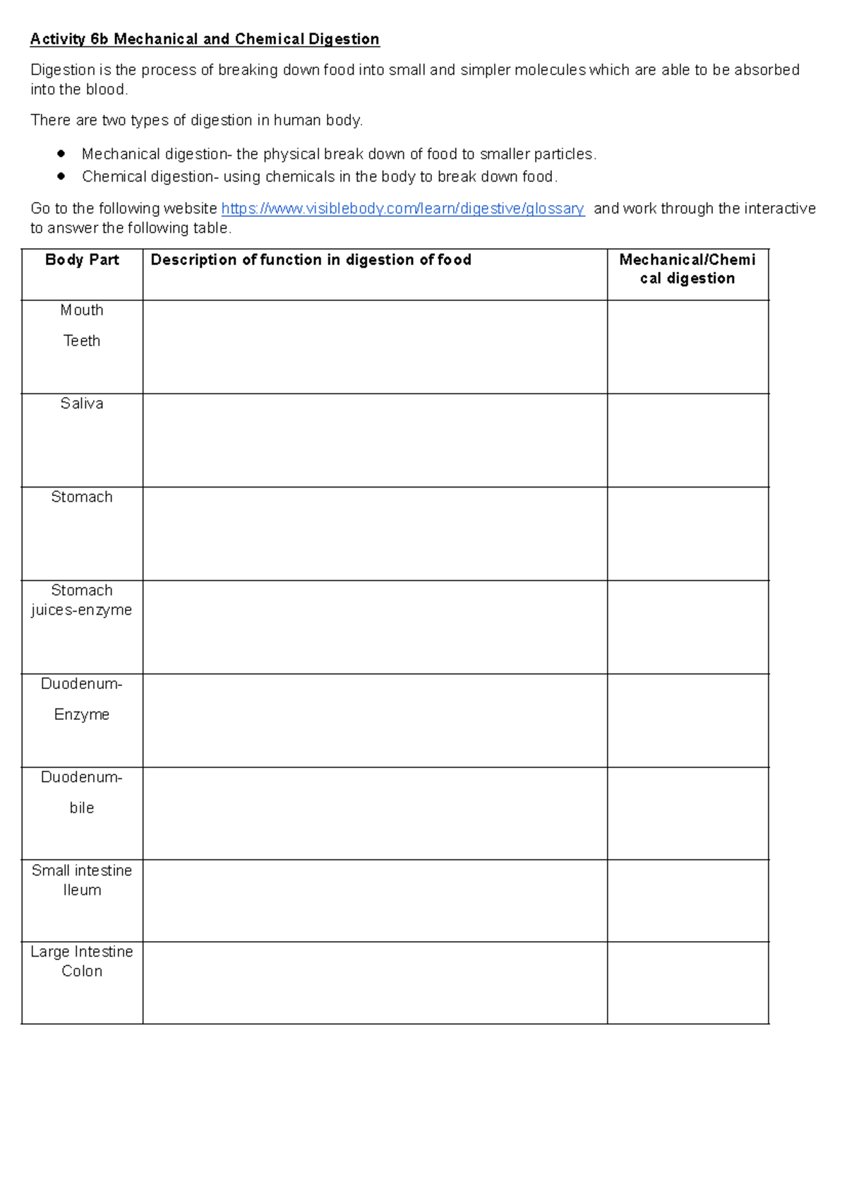 Digestive System Year 8 - Activity 6b Mechanical and Chemical Digestion ...