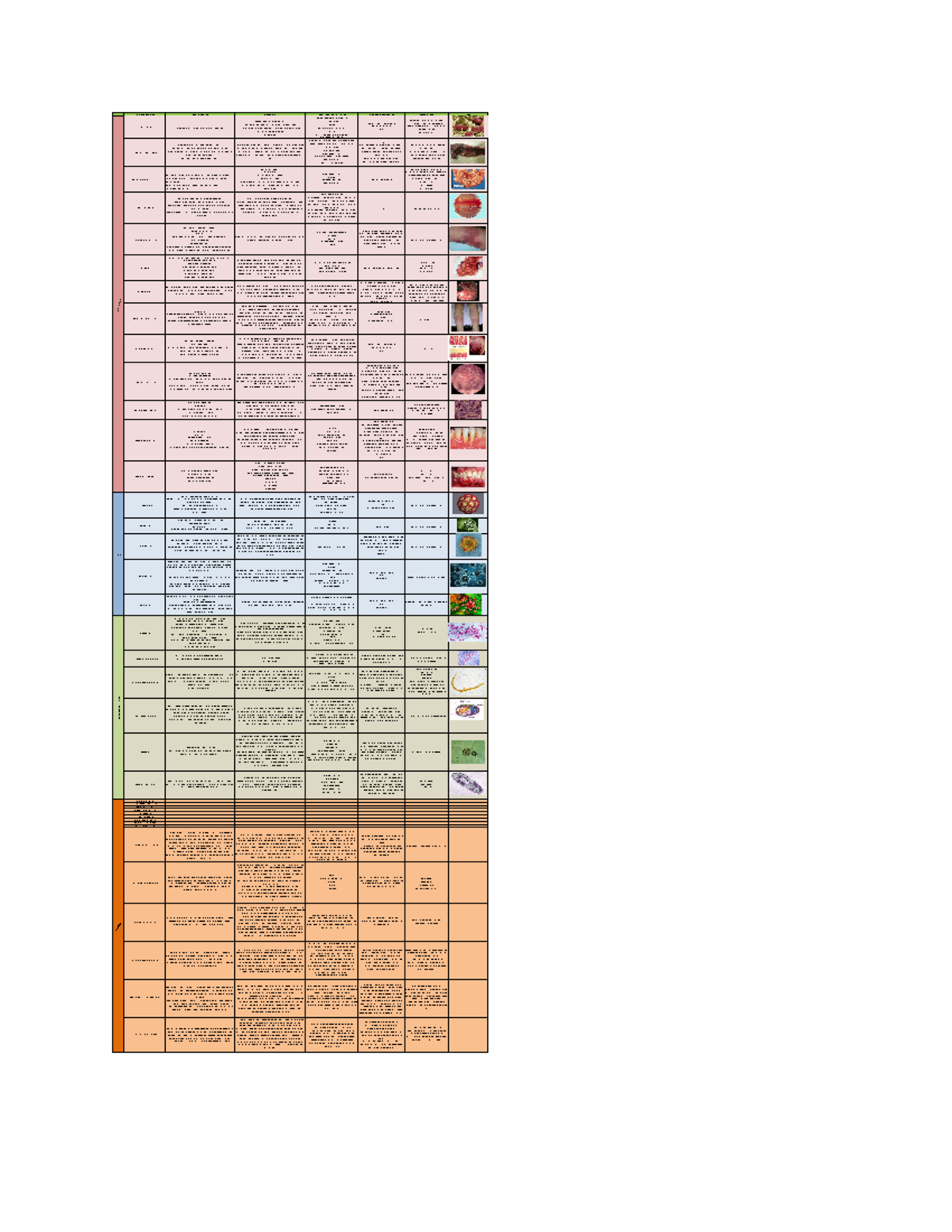 Microbiología Digestivo - Warning: TT: undefined function: 32 . MICROORGANISMO CARACTERISTICAS ...