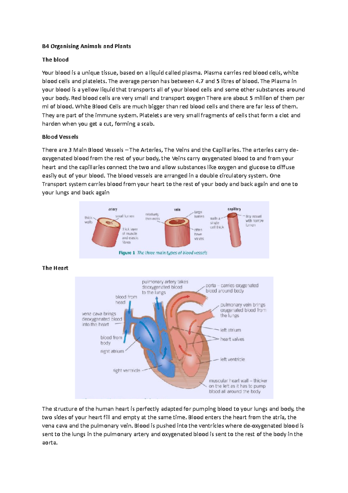 B4 Organising Animals And Plants - Plasma carries red blood cells ...