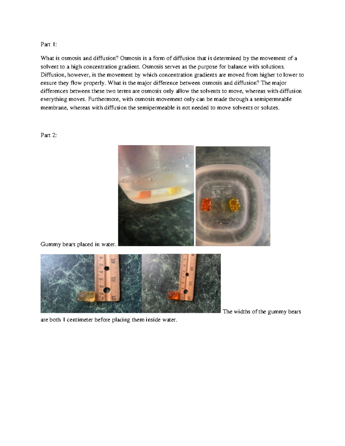 Osmosis and Diffusion Learning Outcome Assessment - Part 1: What is ...