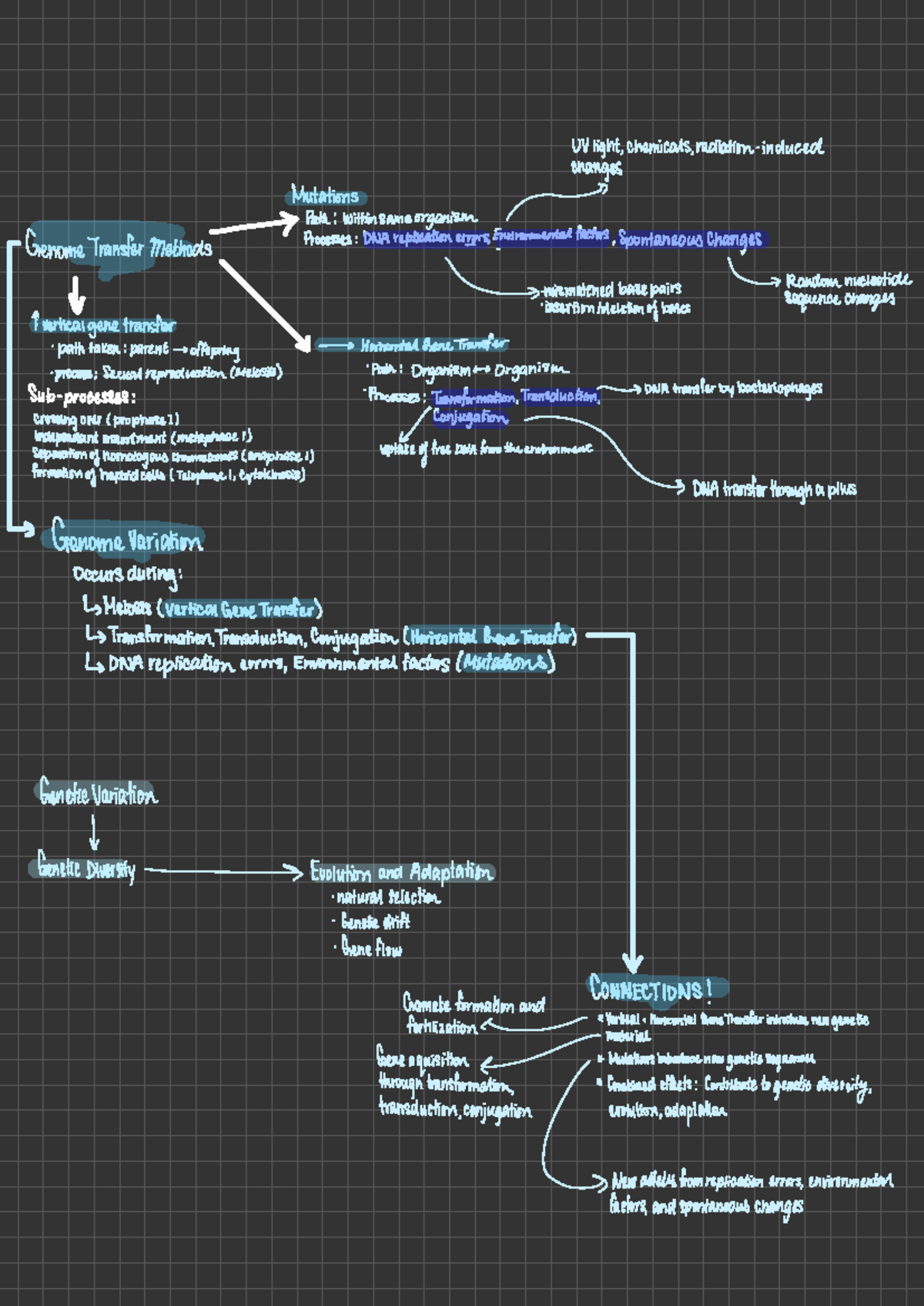 Flow Chart Tutorial 1 Task 2 Genetics 2581 - WV light , chemicals ...
