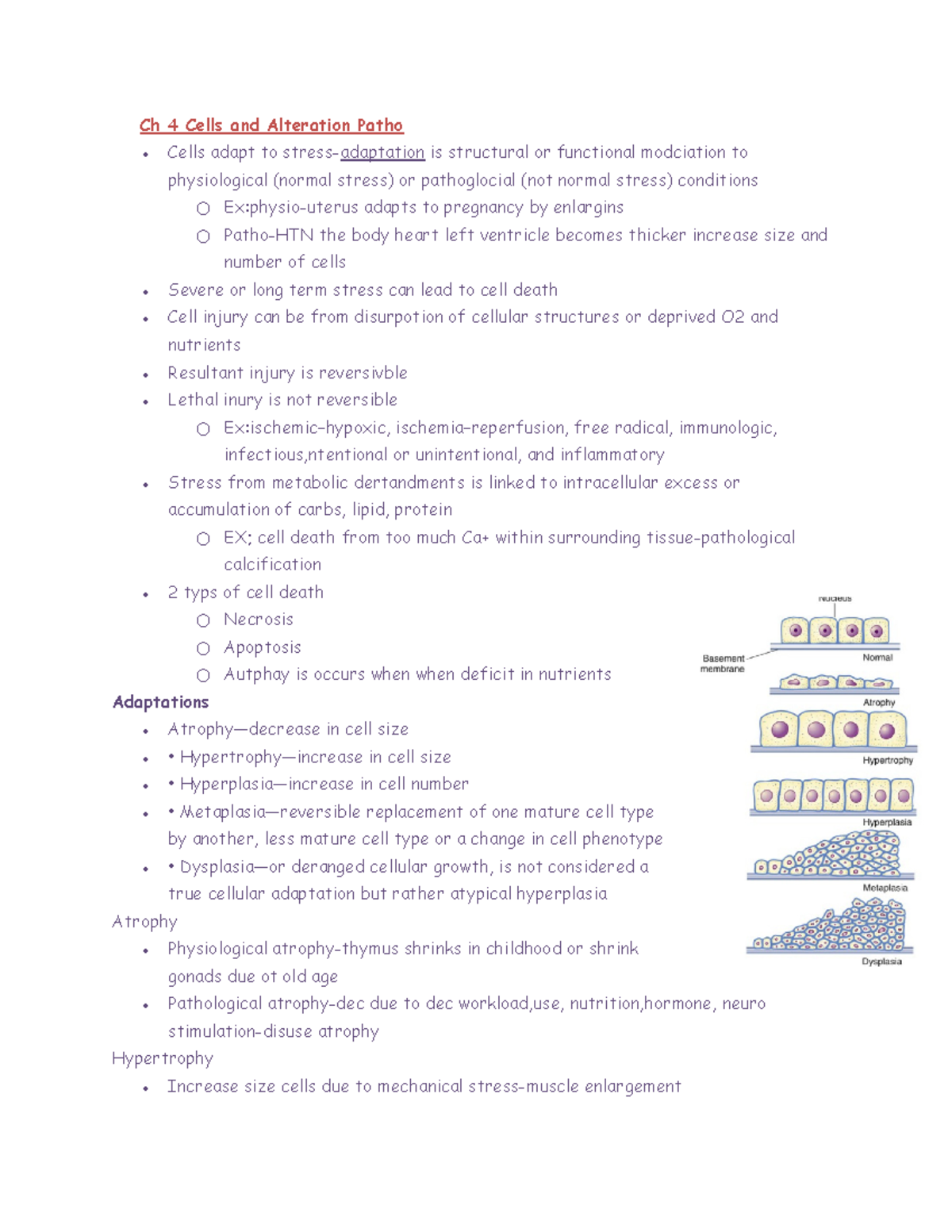 Ch.4 altered cell and tissue - Ch 4 Cells and Alteration Patho Cells ...