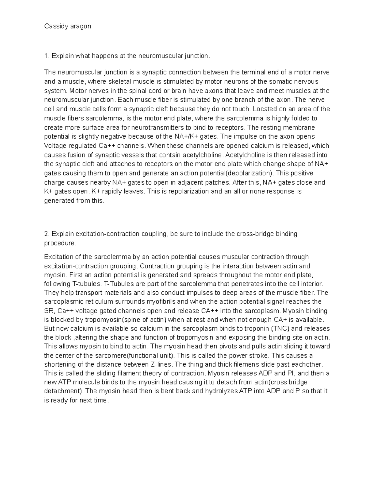 Anatomy essay - neuromuscular junction - excitation-contraction ...