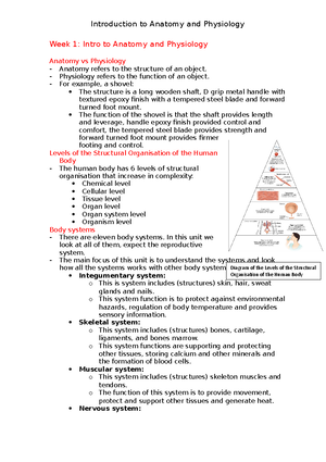 HBS109 AT3 Case Study Rubric - Criterion mode : Points exemplary accomplished achieving ...