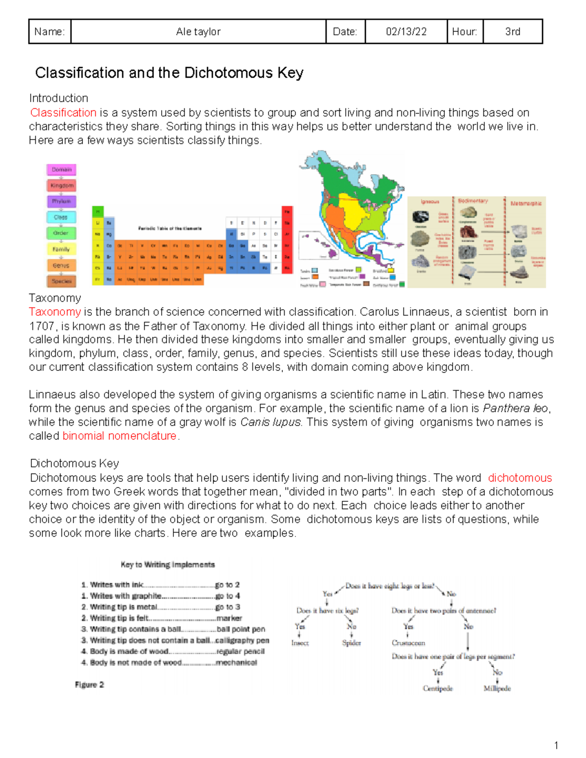 Classification and the Dichotomous Key - Studocu