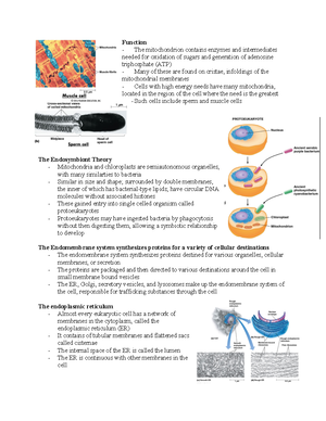 Cell and Molecular Bio Lecture Notes-1 - All organism consists of one ...