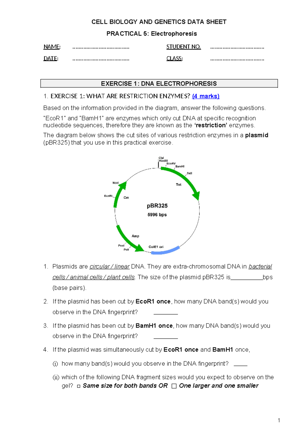 Prac 5 CBG Data Sheet Electrophoresis Cell Division 2021-1-1 - EXERCISE ...