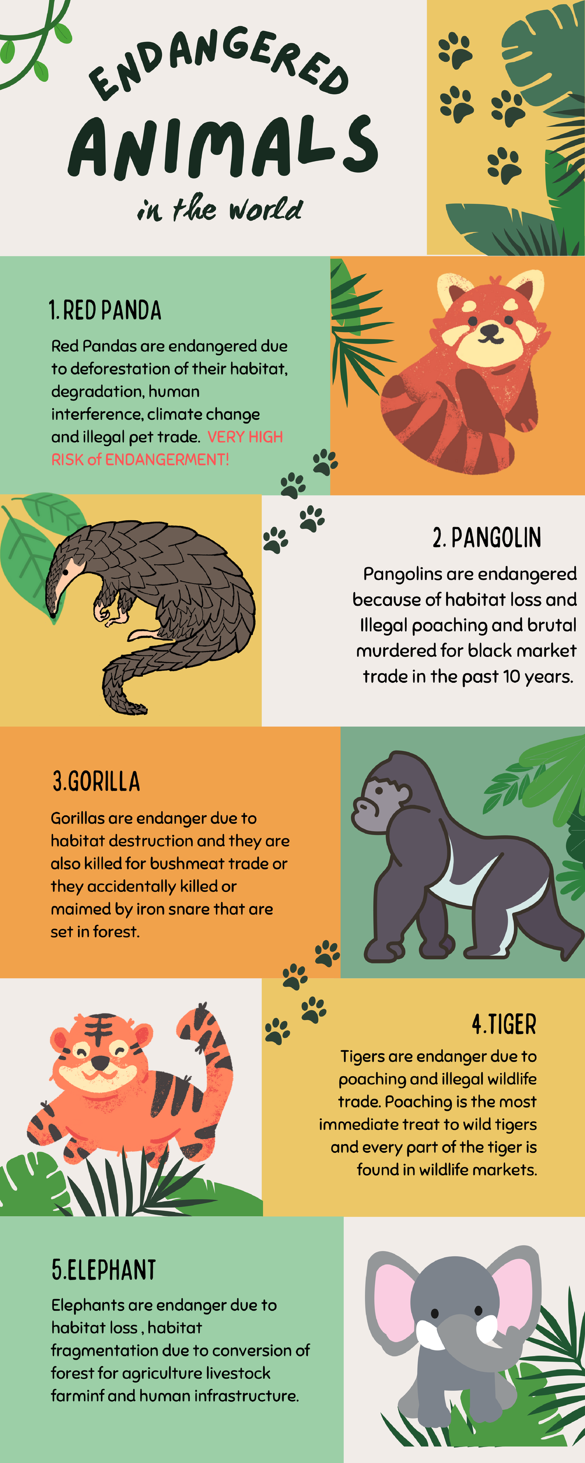 Endanger Animals ONE Pager - Studocu