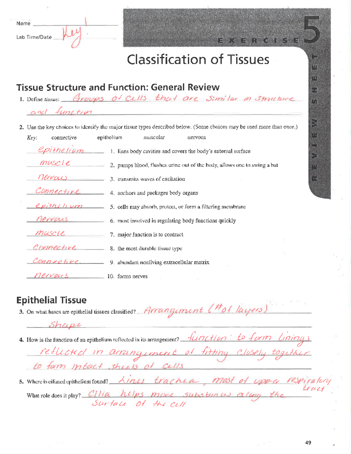 Unit 2 Study Guide Key Biological Sciences Studocu