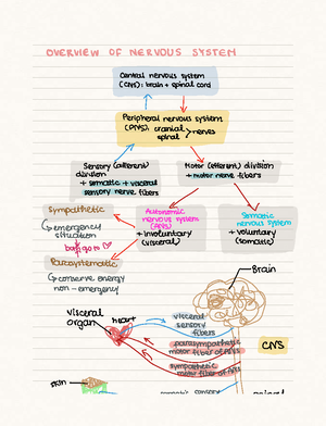 Diseases of the ear - disease of the ear - Diseases of Eustachian Tube ...