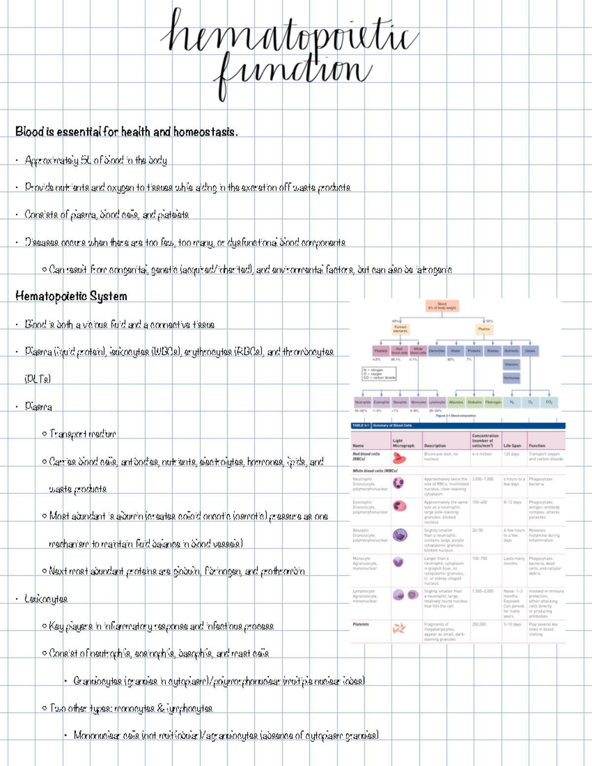 Hematopoietic function - Blood is essential for health and homeostasis ...