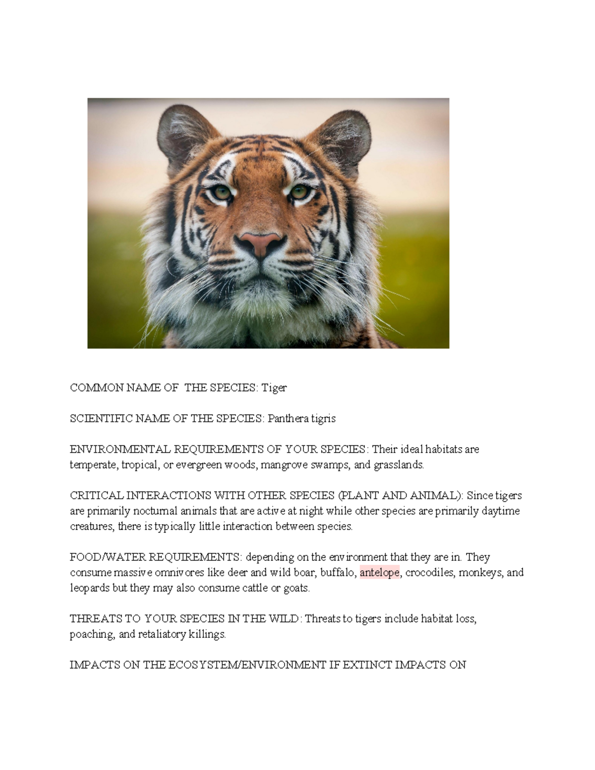 Research Species - COMMON NAME OF THE SPECIES: Tiger SCIENTIFIC NAME OF ...