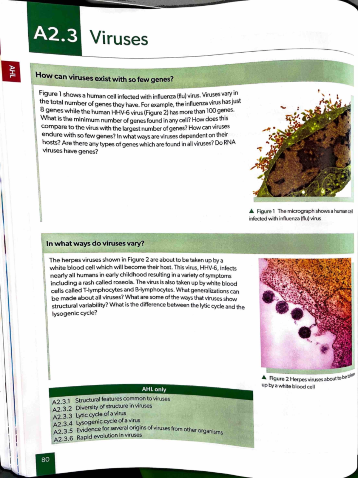 Virus Reading - A2 Viruses How can viruses exist with so few genes? F ...