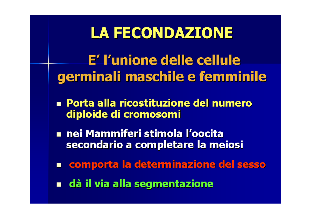Fecondazione e sviluppo embrionale - LA FECONDAZIONE E’ l’unione delle ...