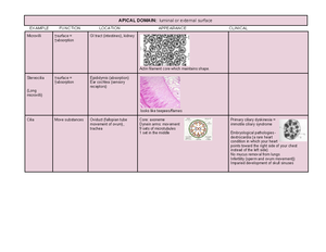 Skin Histology tables and charts - Superficial → Deep [ Cops Love Guns ...
