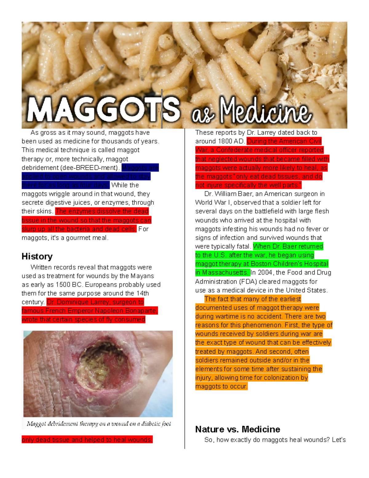 Copy of Article Analysis - Text Structure - As gross as it may sound ...